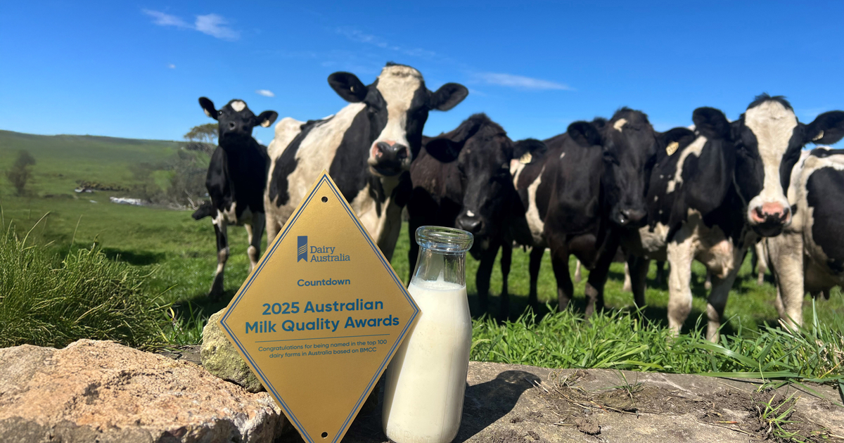 White Gold Celebrating the Winners of the 2025 Australian Milk Quality ...